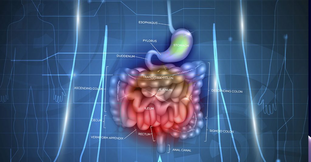 GEZONDHEID - TheNewFood